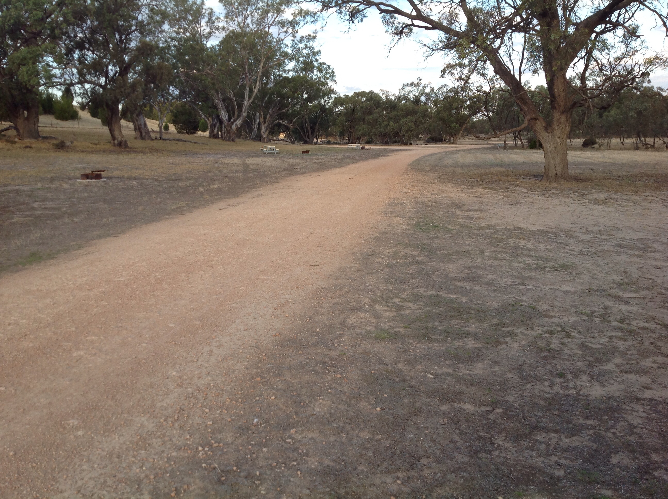 Wongo Camp, Wyperfeld National Park VIC | THe long paddock