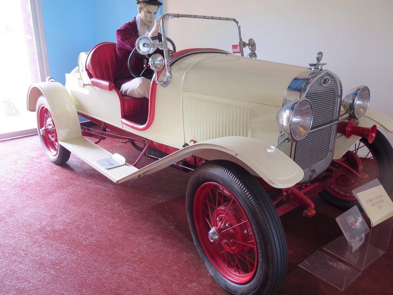 image | THe long paddock