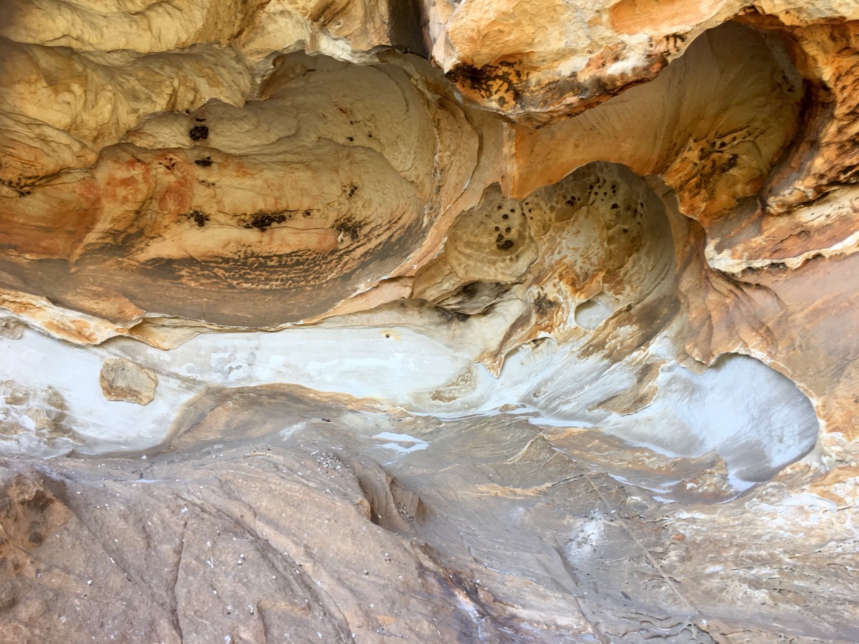 image | THe long paddock