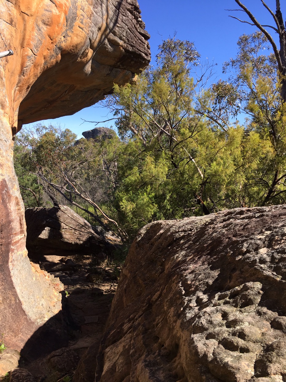 image | THe long paddock