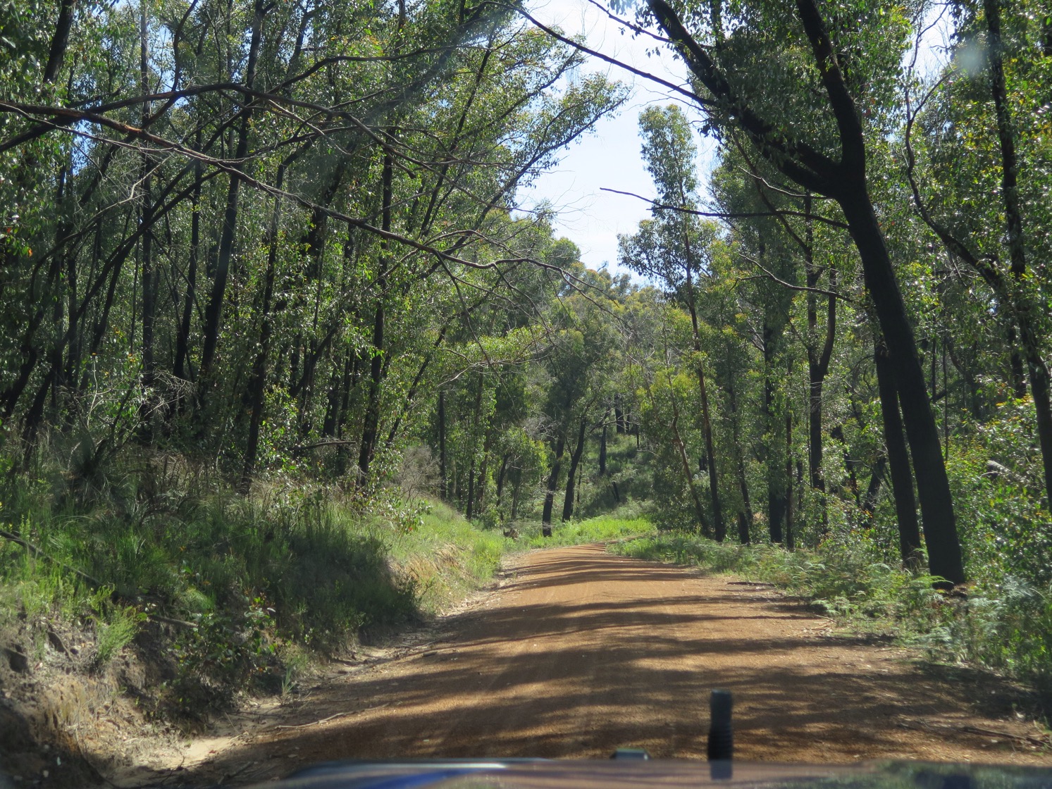 image | THe long paddock