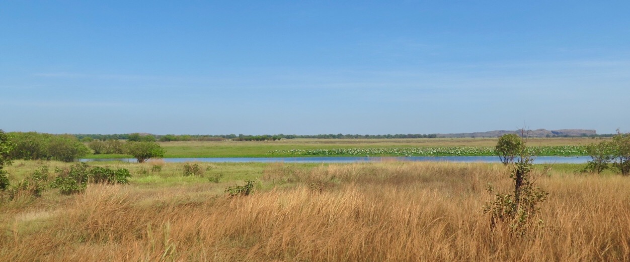 West Arnhem Land | THe long paddock