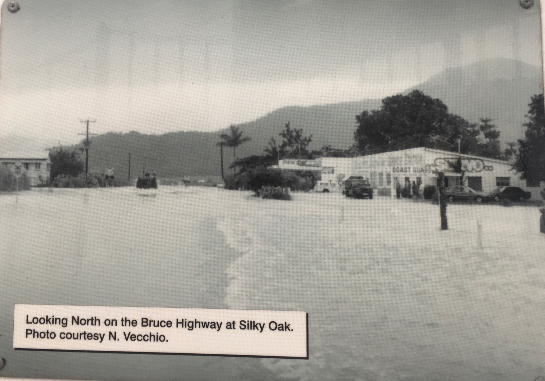 Tully Golden Gumboot | THe long paddock