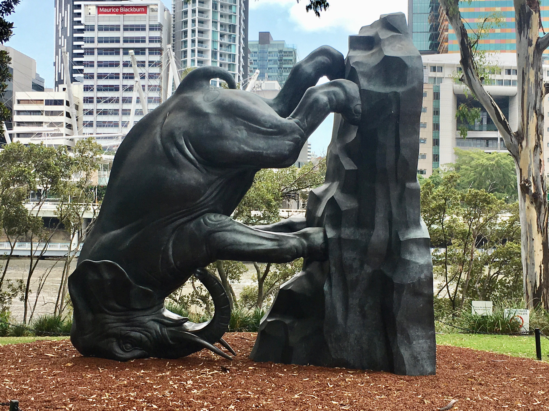 GOMA Brisbane | THe long paddock