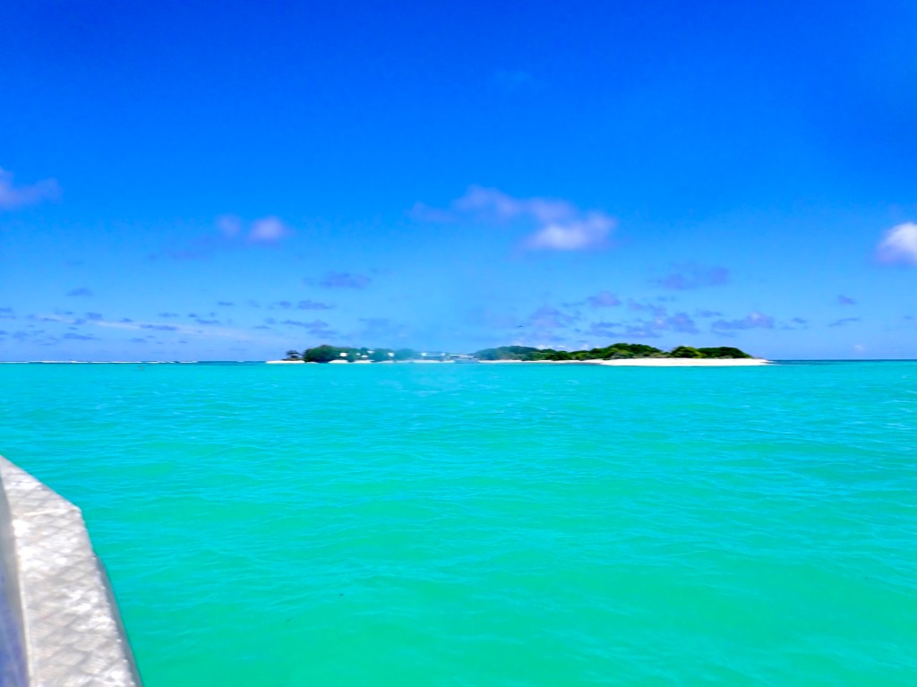 One Tree Island, Qld. 2021 | THe long paddock