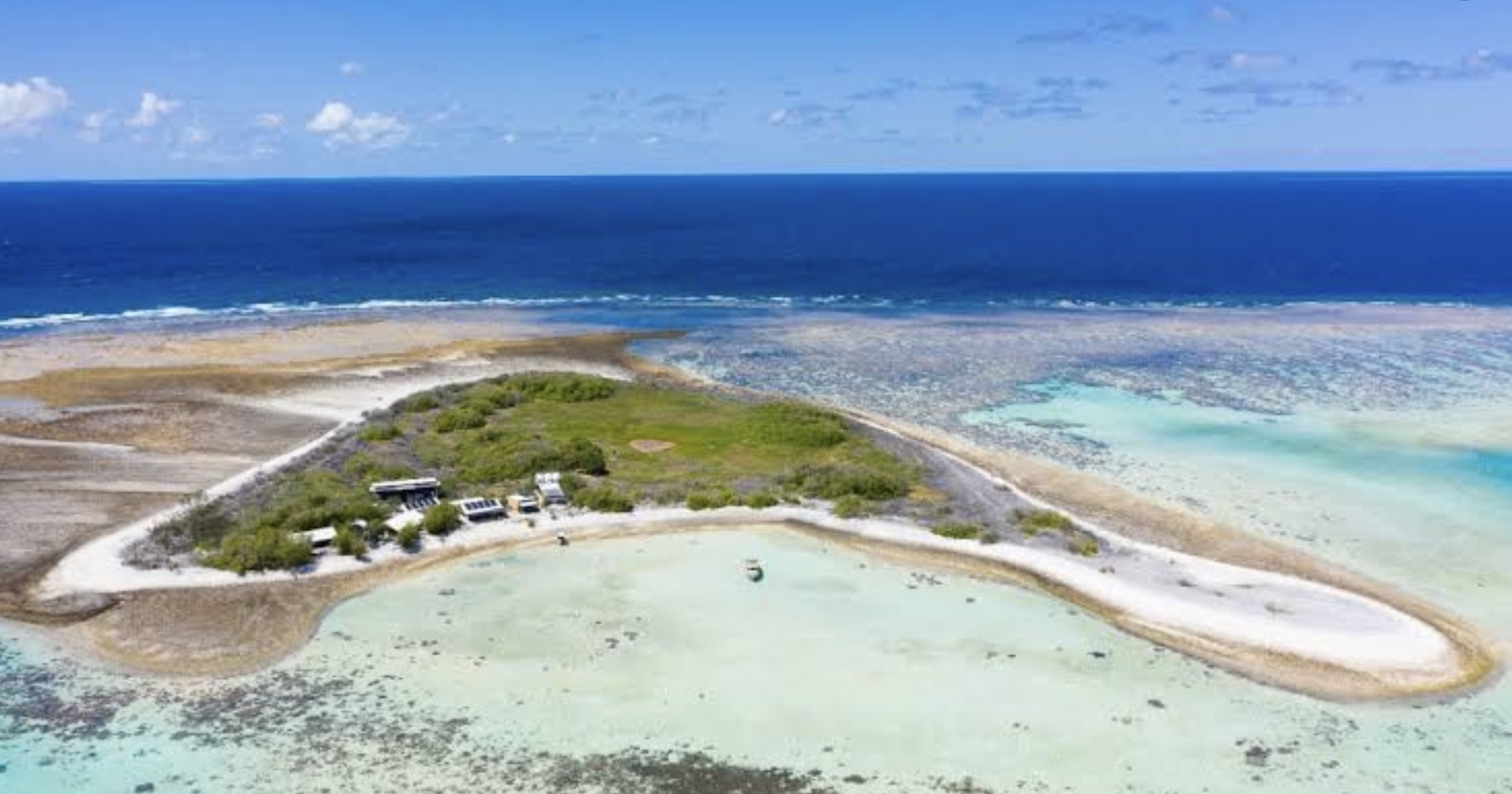 One Tree Island, Qld. 2021 | THe long paddock