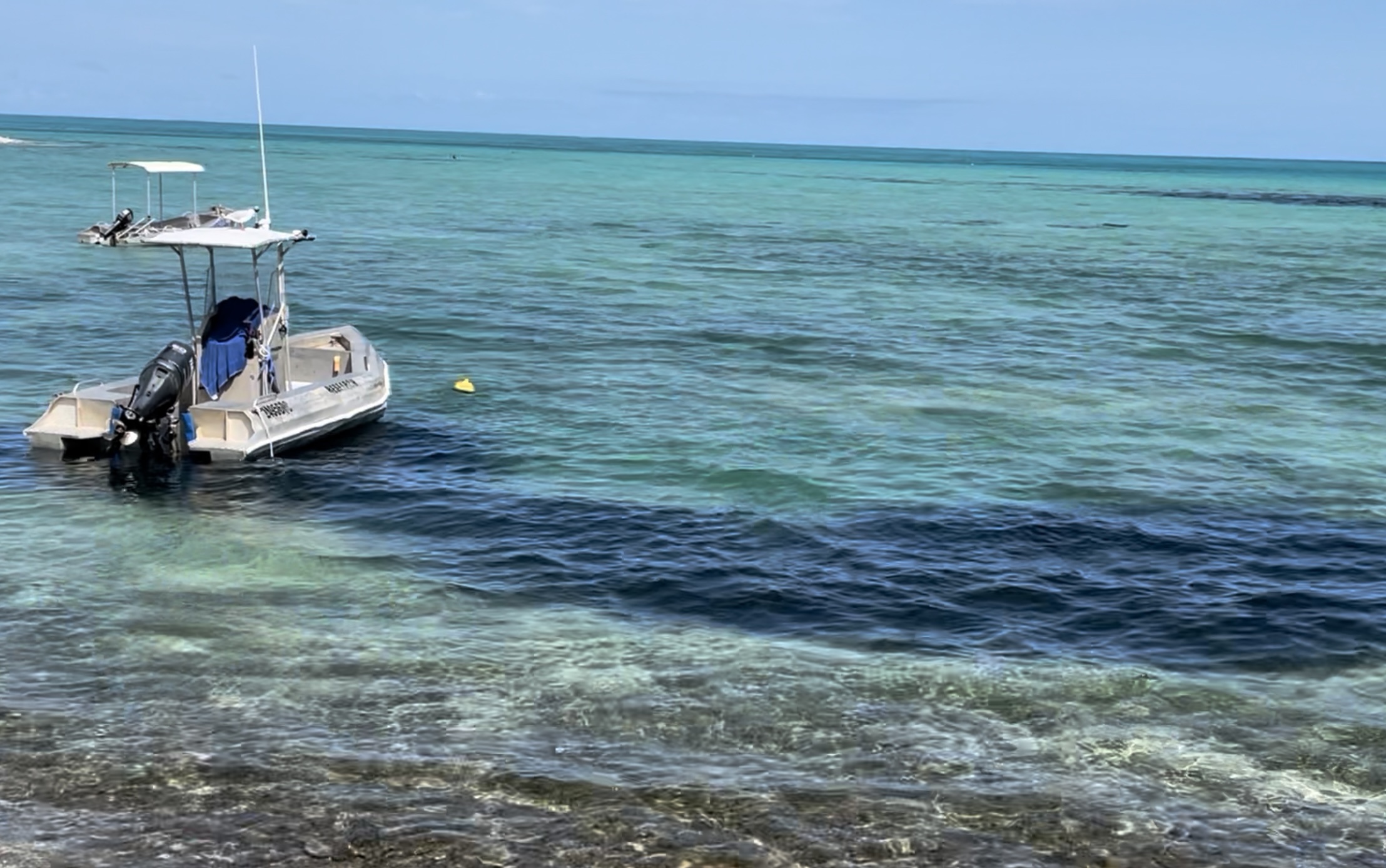 One Tree Island 2022 | THe long paddock