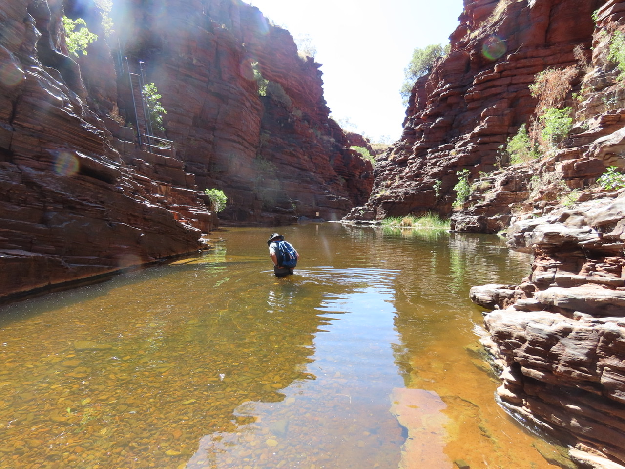 6ddf2235-be8f-4ae3-9d44-d9e1976e3129 | THe long paddock