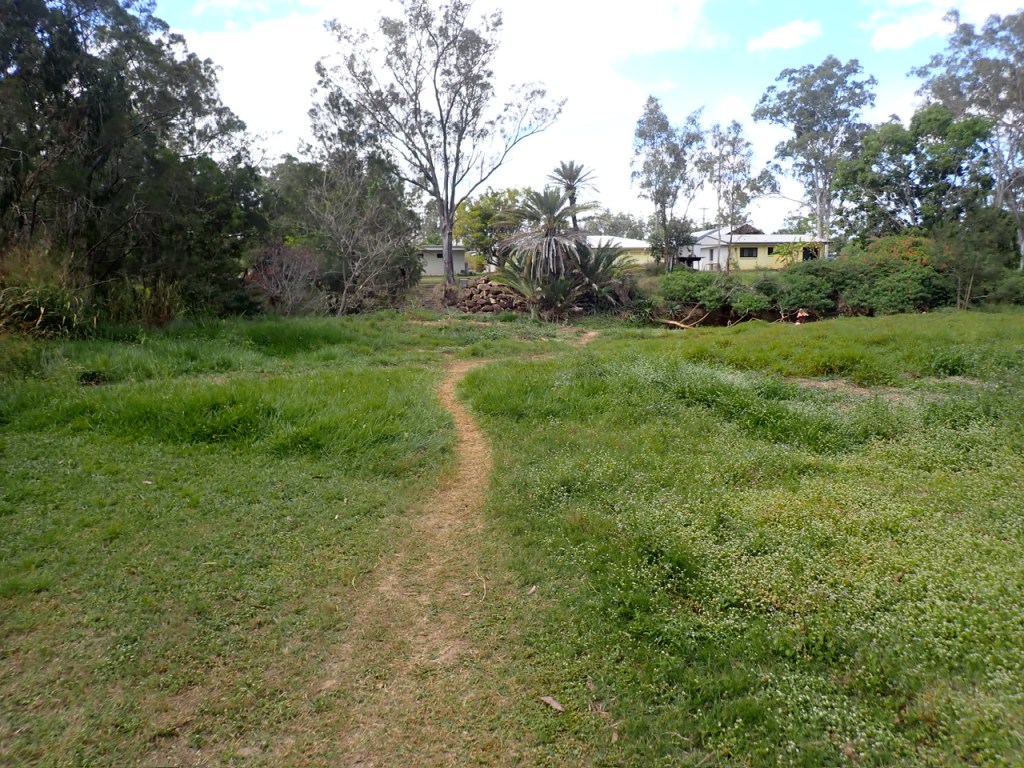Innot Hot Springs | THe long paddock