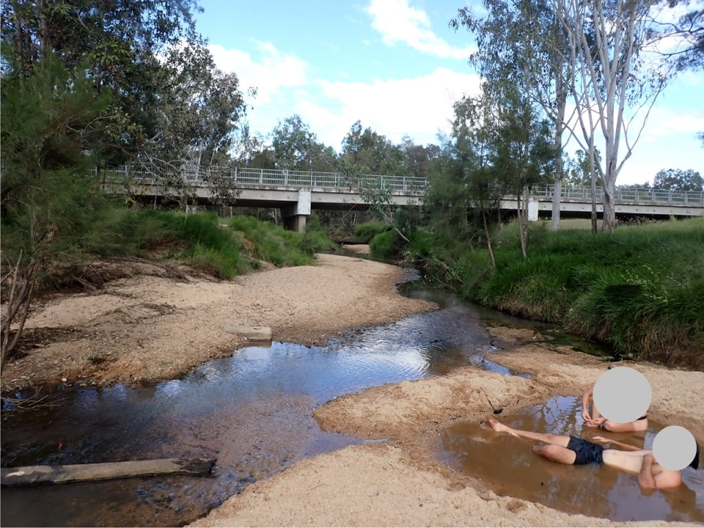 Innot Hot Springs | THe long paddock