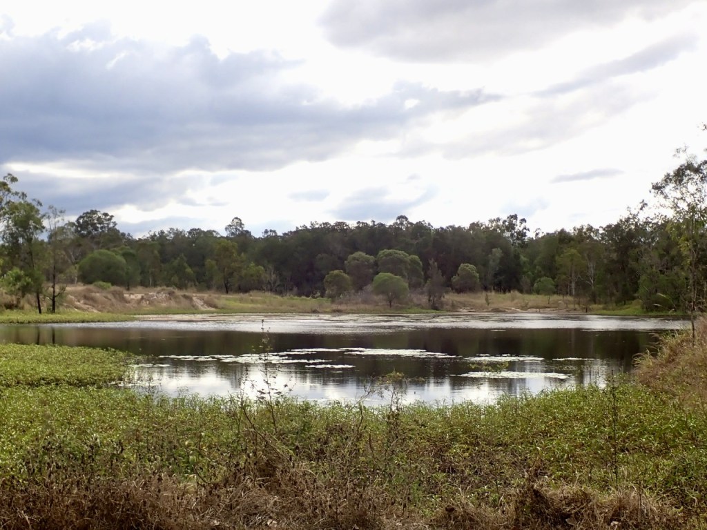 Innot Hot Springs | THe long paddock