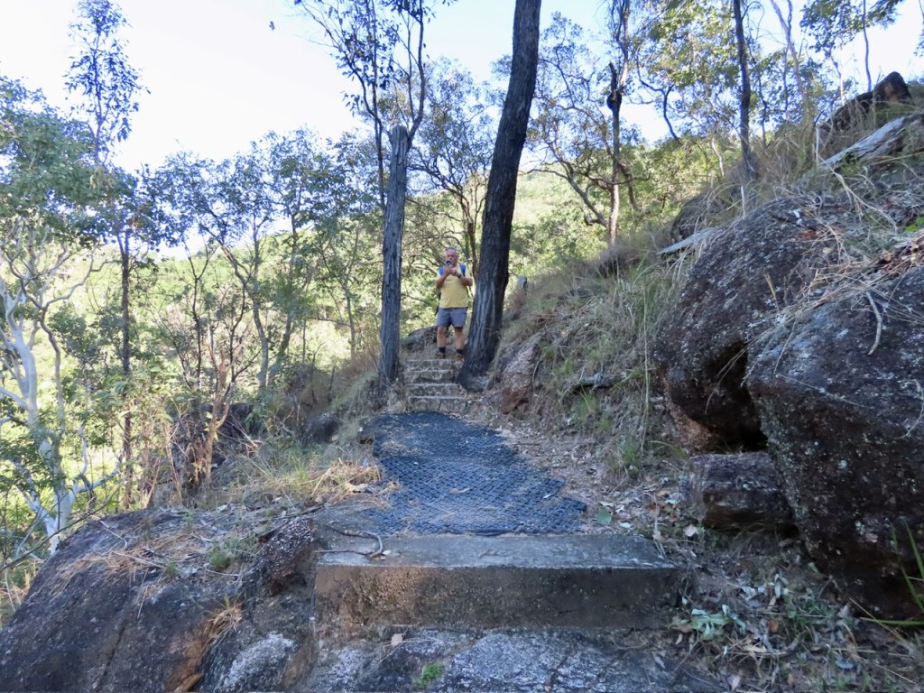 Paluma Range National Park | THe long paddock