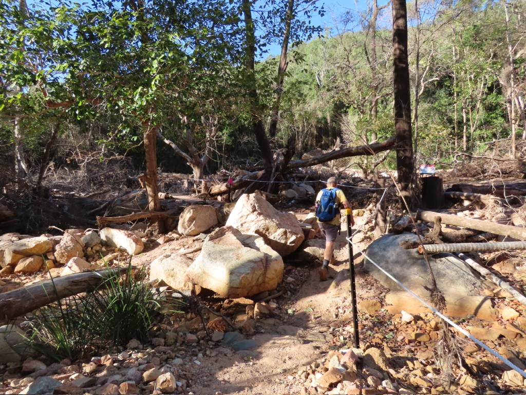 Paluma Range National Park | THe long paddock
